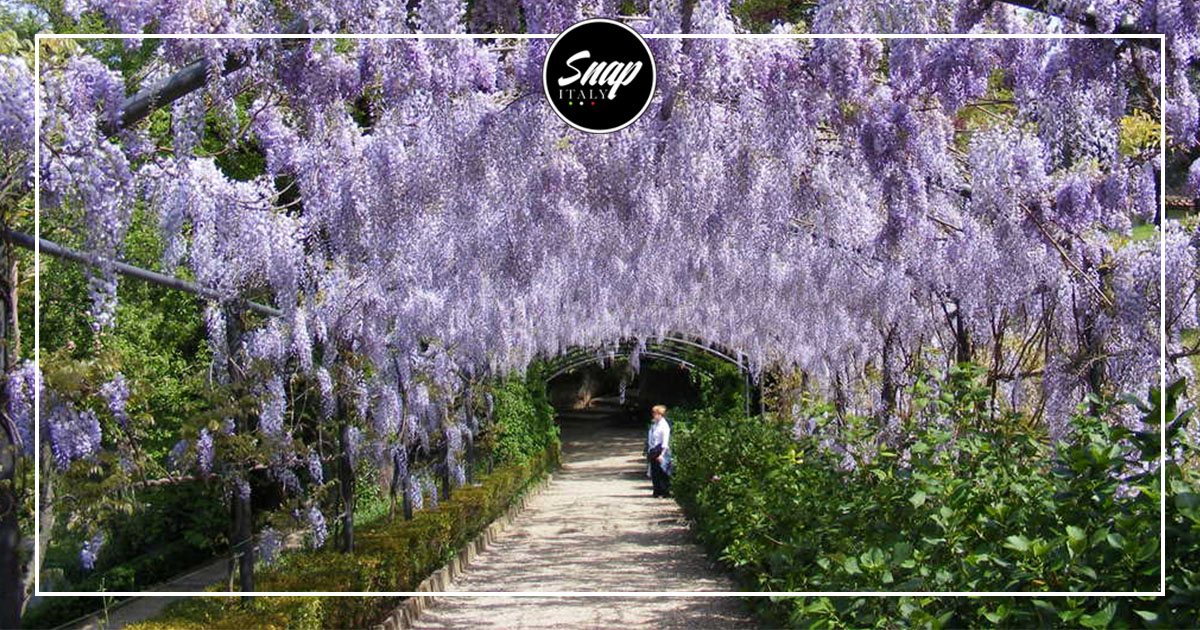 Giardini italiani: nuovi colori tutti da scoprire - Snap Italy