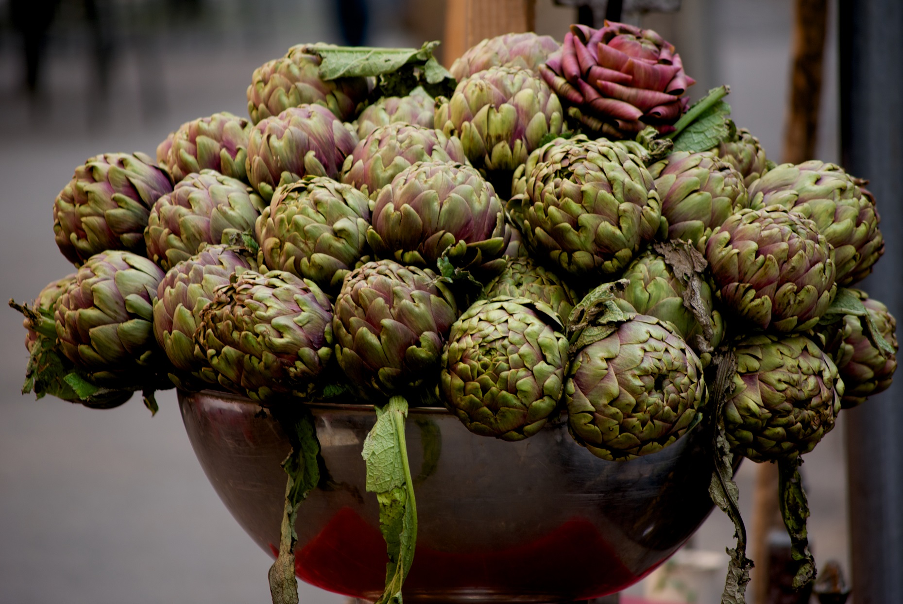 Carciofo Romanesco del Lazio IGP: le caratteristiche e le ricette