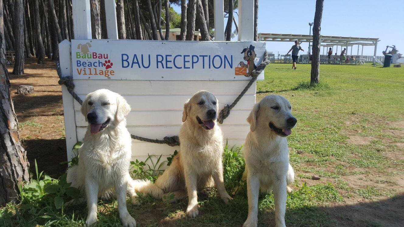 Bau Bau Beach Village - Viaggi - Snap Italy