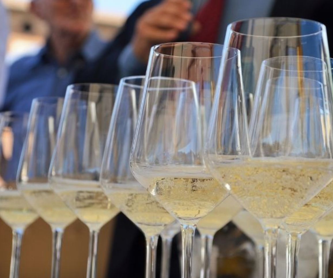 Vini emiliani DOP: una piccola guida per gli appassionati del calice