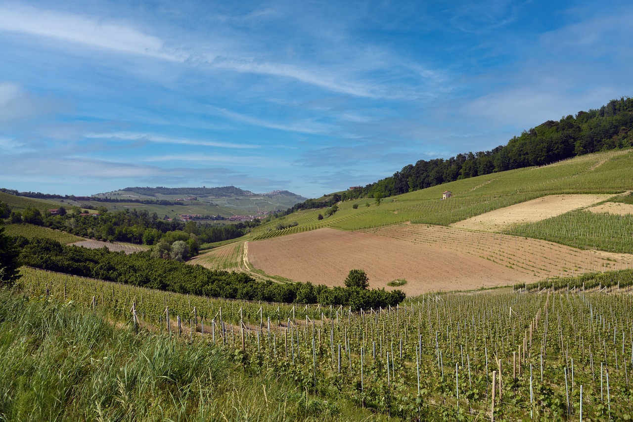 Barolo Monfortino di Giacomo Conterno: tradizione ed innovazione