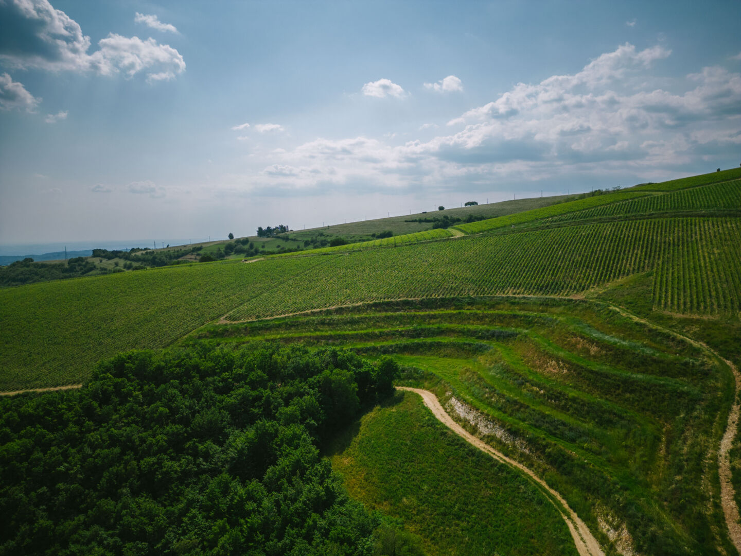 La Collina dei Ciliegi per un’estate lenta e rilassante - Snap Italy