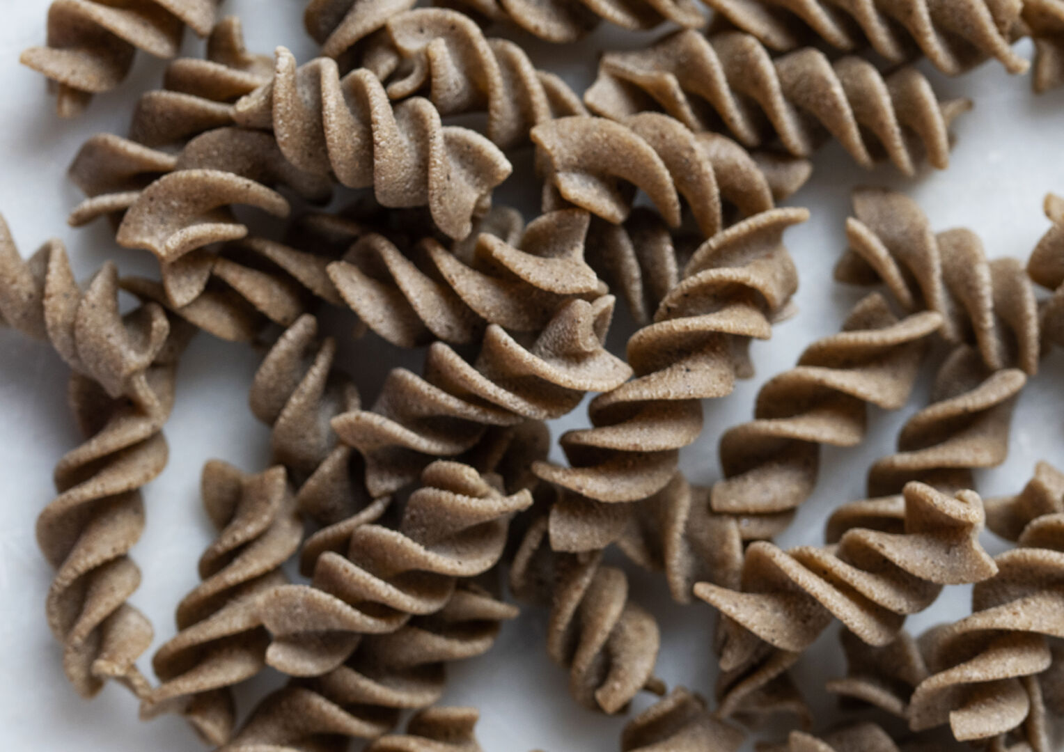 High Protein Pasta: arriva la pasta con farina di grillo Made in Italy